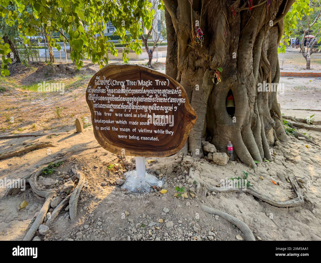 The Magic Tree, dedicated to those killed during the Khmer Rouge ...