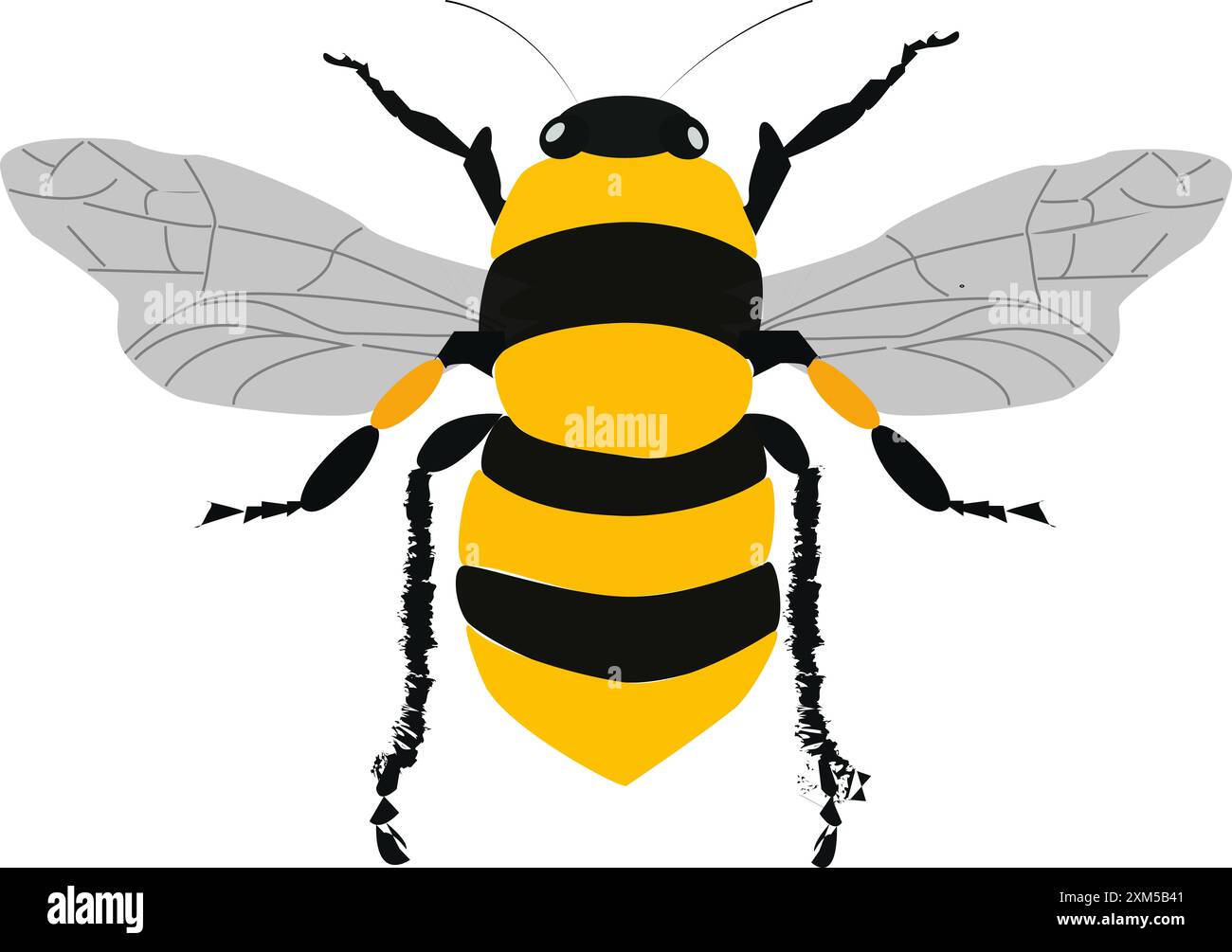 A vector art of a bumble bee Stock Photo - Alamy