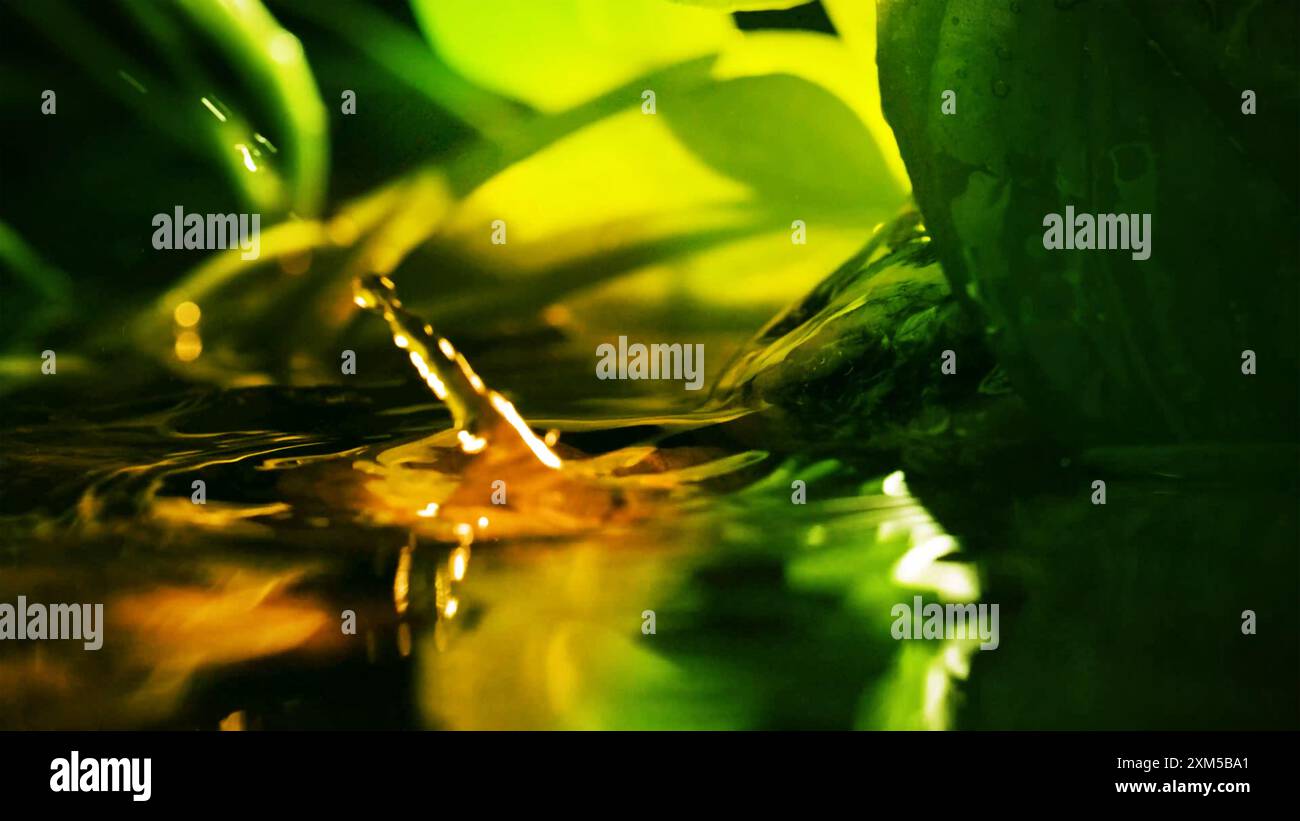 Waterdrop on a summer background in a lake of clear water with sun rays ...