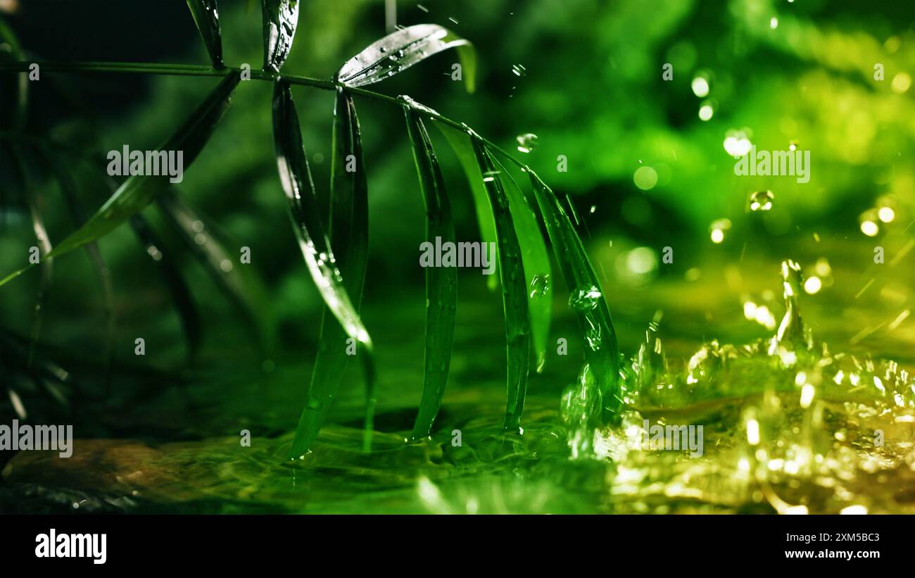 Fresh green leaves of flowers after spring rain shrouded in drops ...