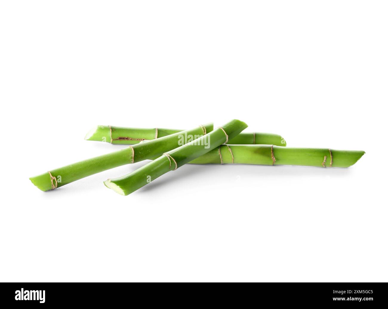 Bamboo forest green stems Cut Out Stock Images & Pictures - Alamy