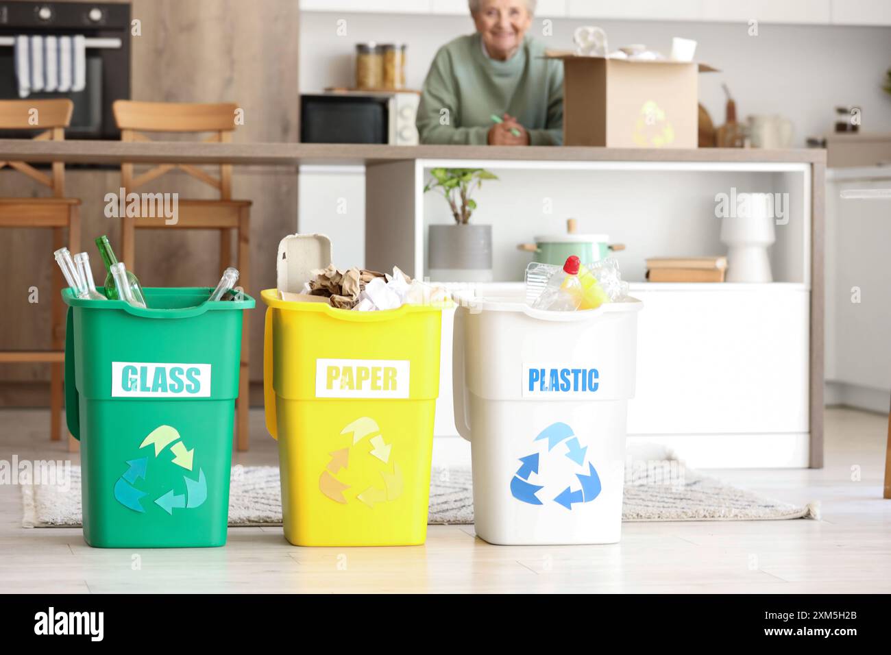 Garbage bins in kitchen. Waste sorting concept Stock Photo - Alamy