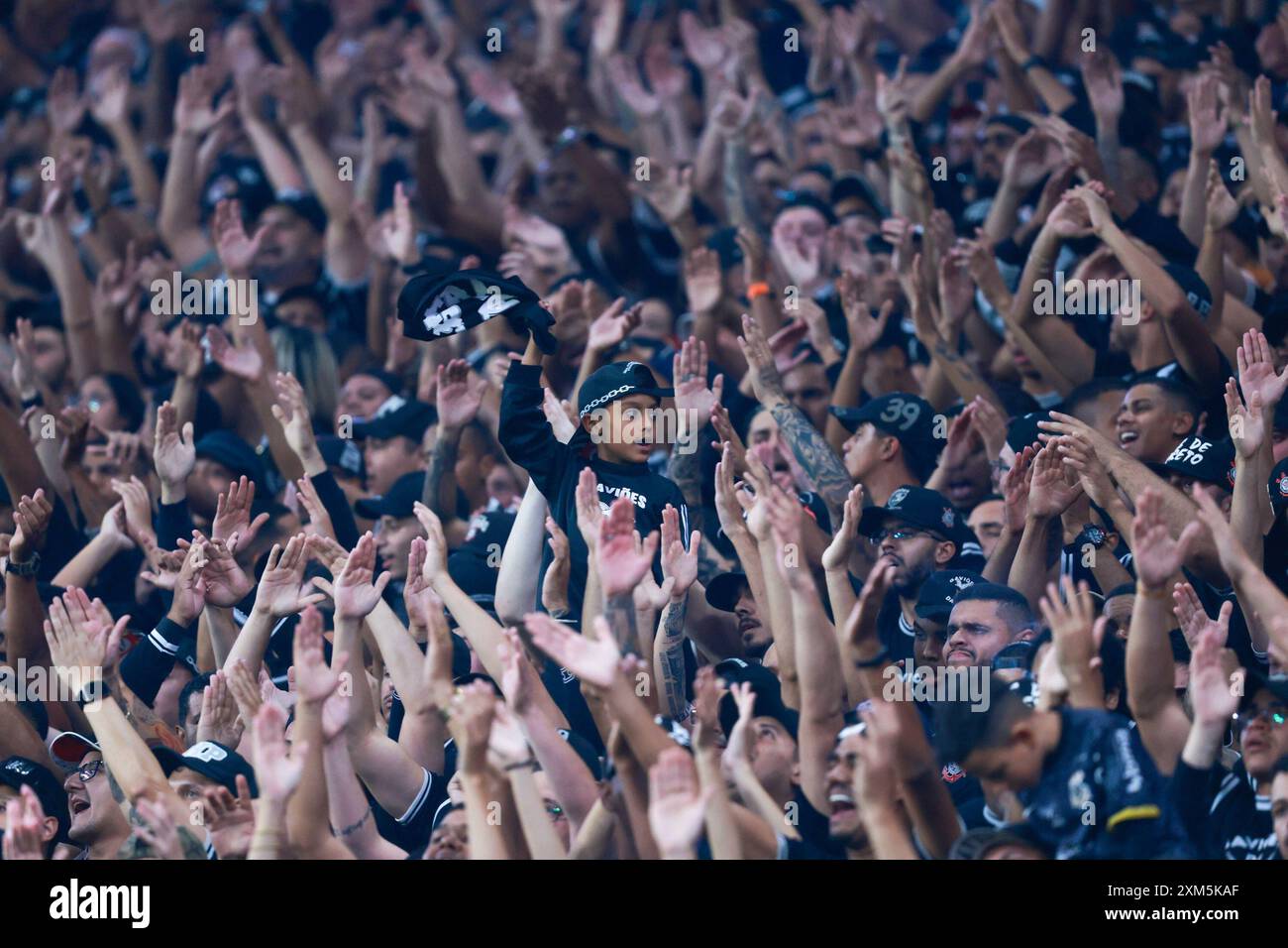 Sao Paulo, Brazil. 25th July, 2024. Corinthians fans, during the match ...