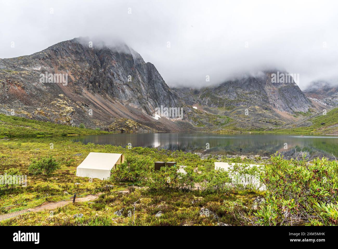 Backcountry camping area in Tombstone Territorial Park during summer ...