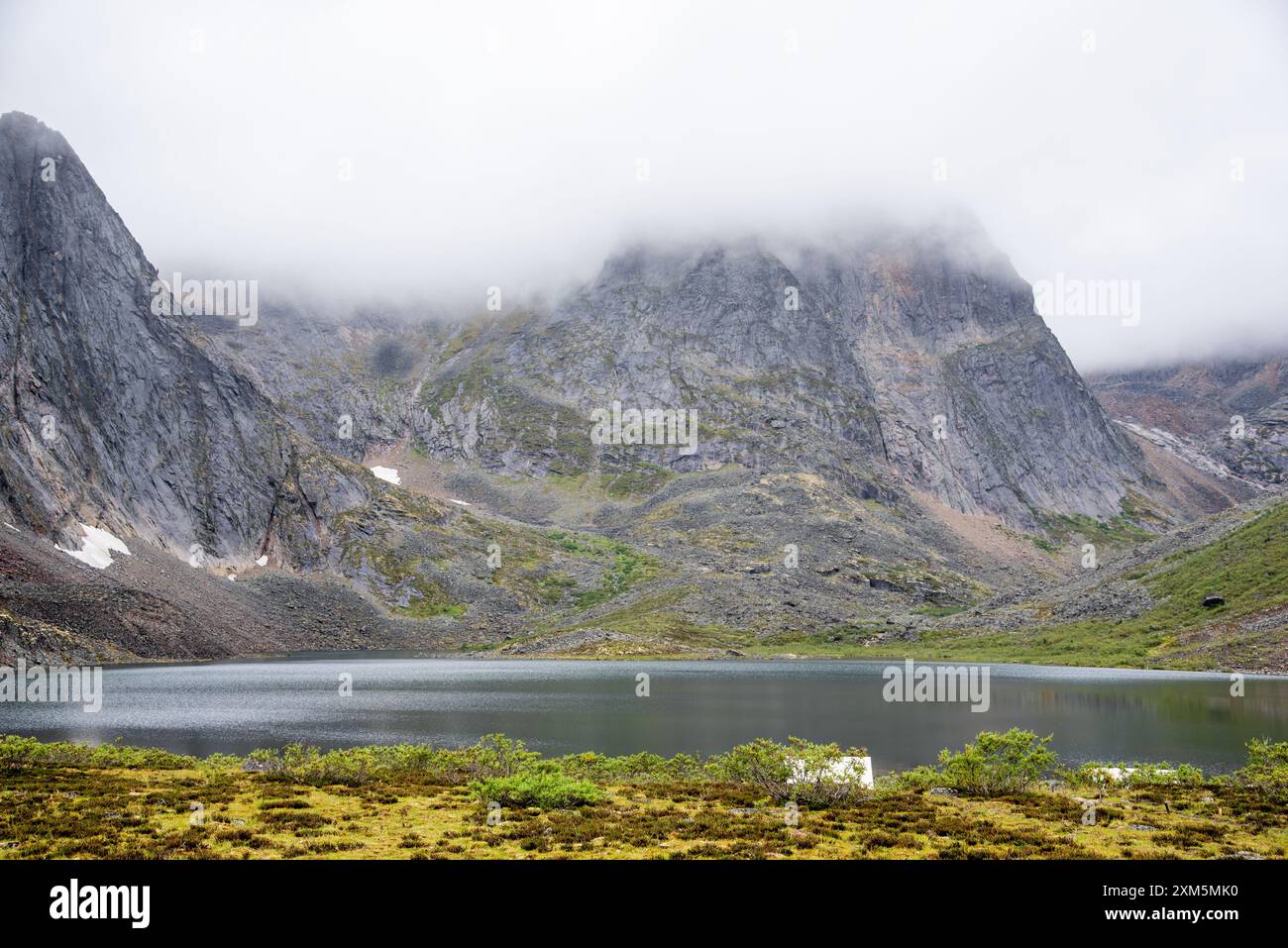 Backcountry camping area in Tombstone Territorial Park during summer ...