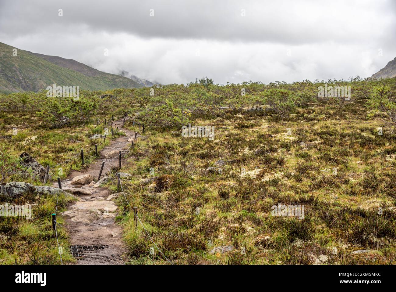 Landscape mountain views from Tombstone Territorial Park in northern ...