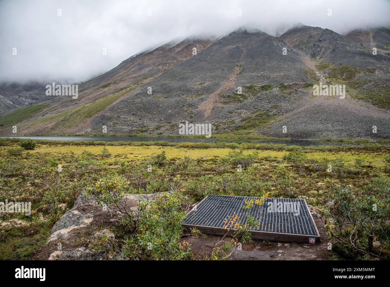 Backcountry camping area in Tombstone Territorial Park during summer ...