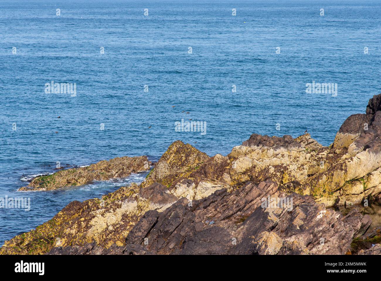 The rough, rocky coast along with the North Sea on the east coast of ...