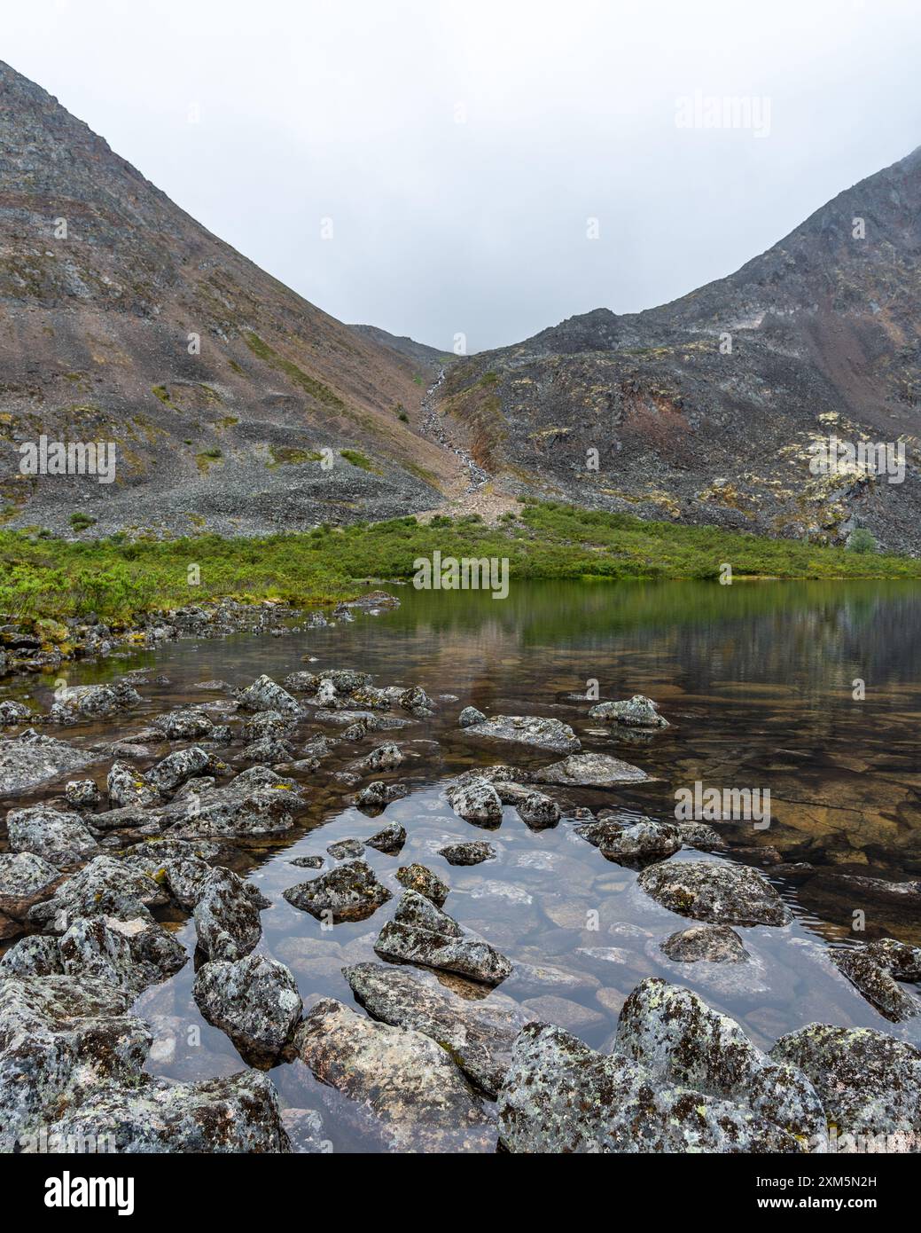 Backcountry camping area in Tombstone Territorial Park during summer ...