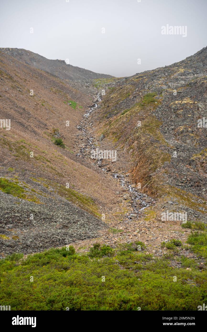 Backcountry camping area in Tombstone Territorial Park during summer ...