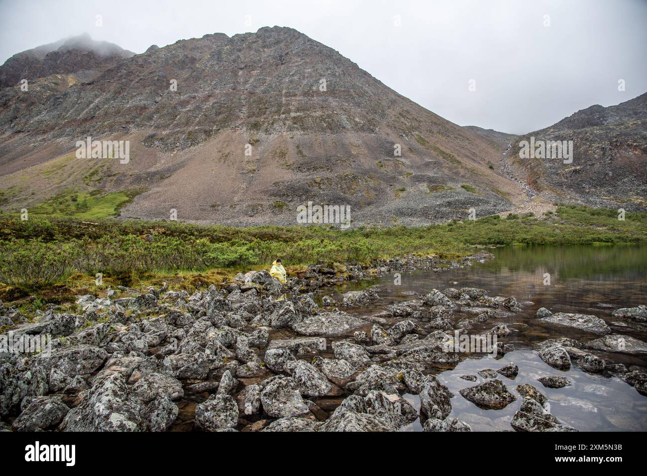 Backcountry camping area in Tombstone Territorial Park during summer ...
