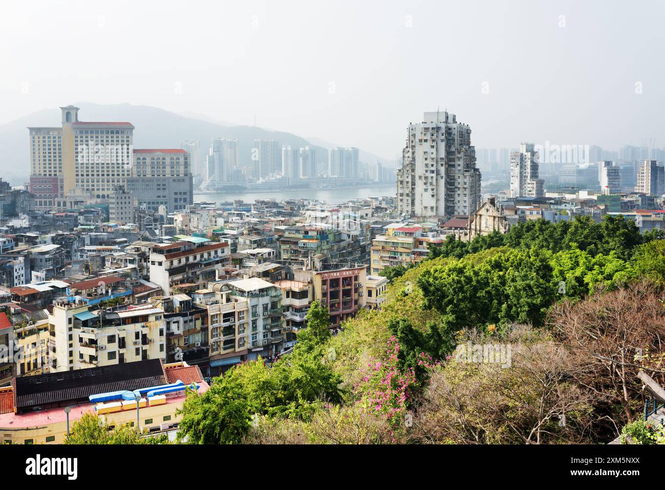 City skyline macau hi-res stock photography and images - Alamy