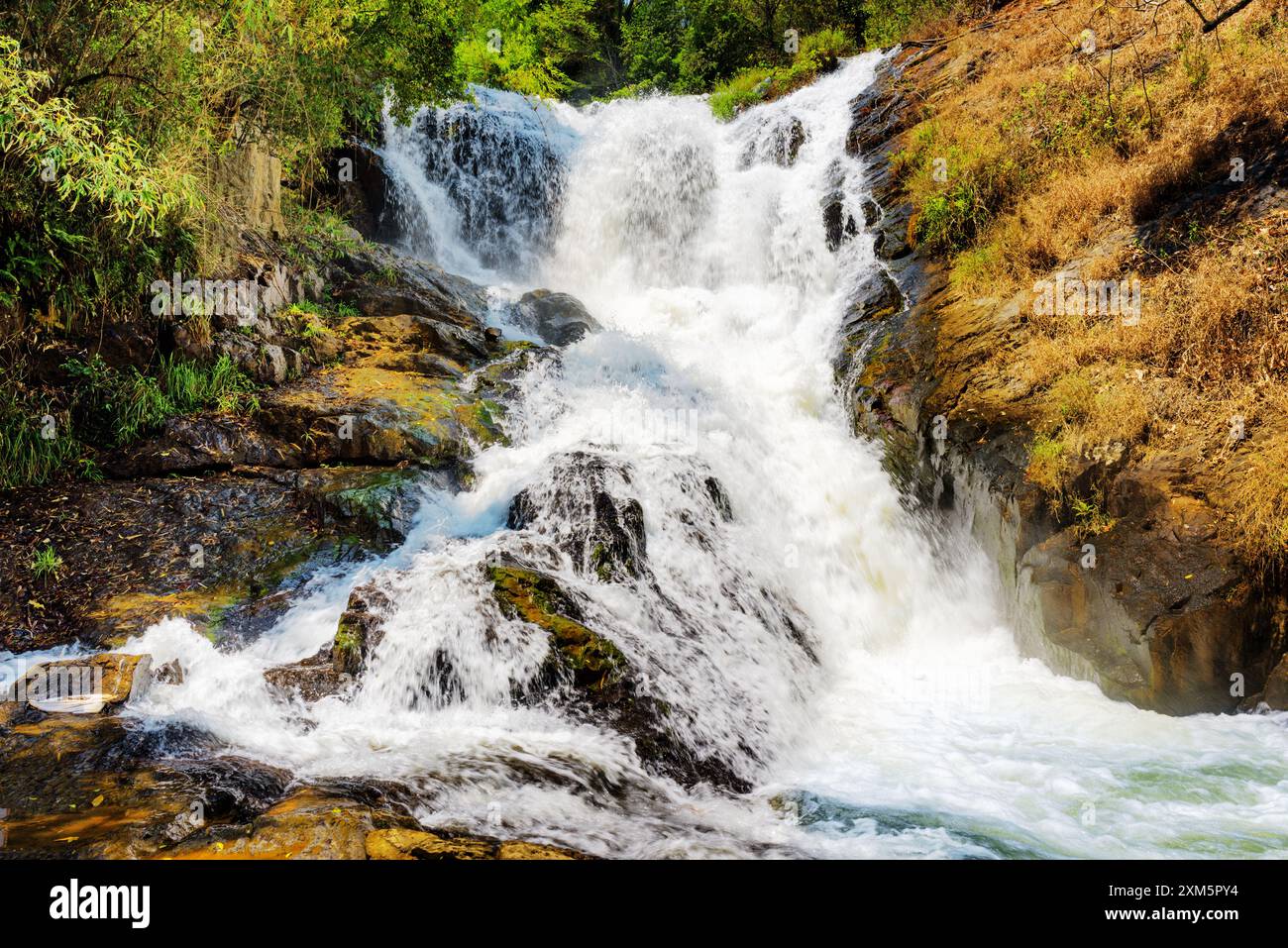 Bubbling stream of the Datanla waterfall in Da Lat city (Dalat Stock ...