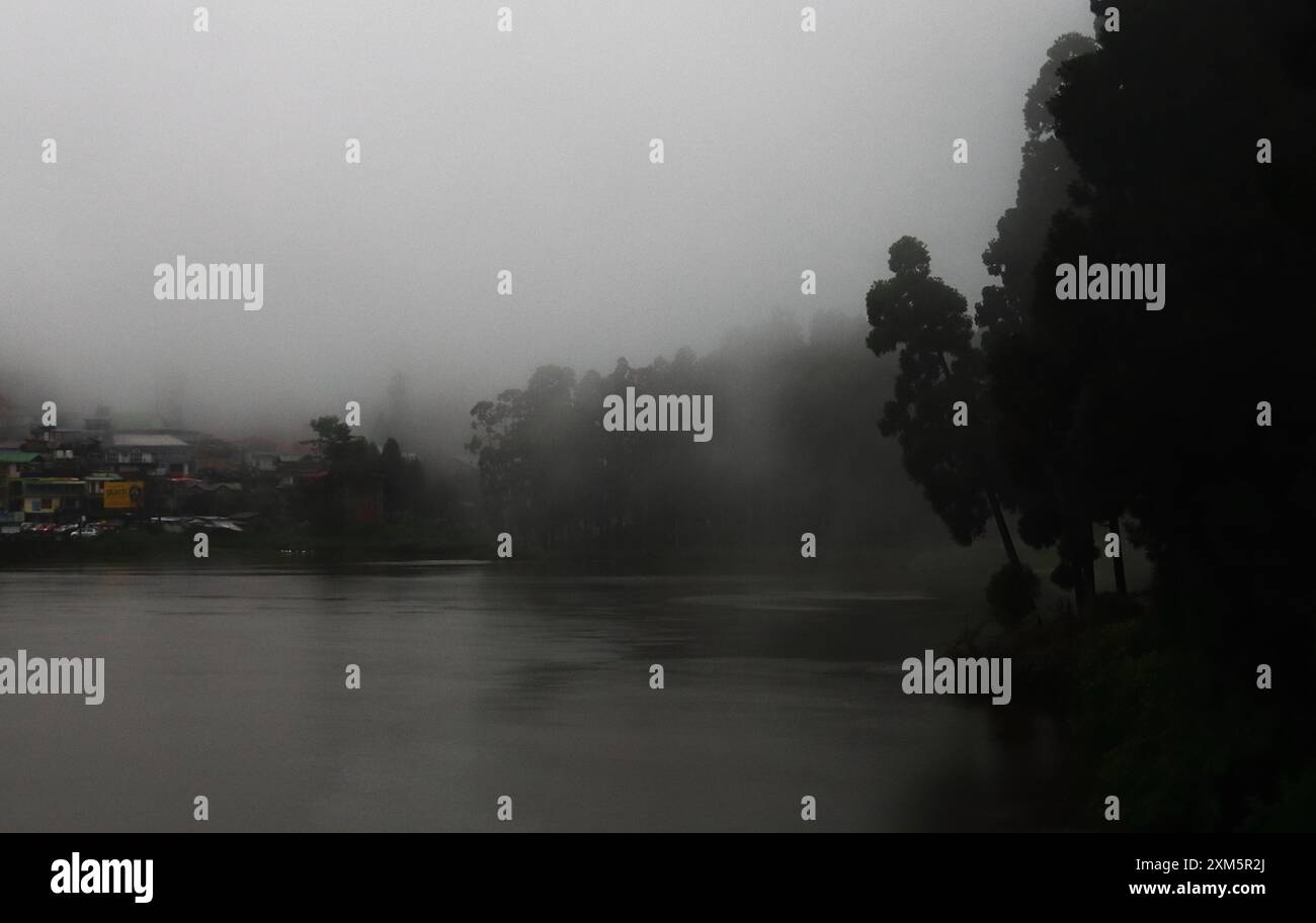fog and mist covered dark pine forest and lake at mirik hill station in ...