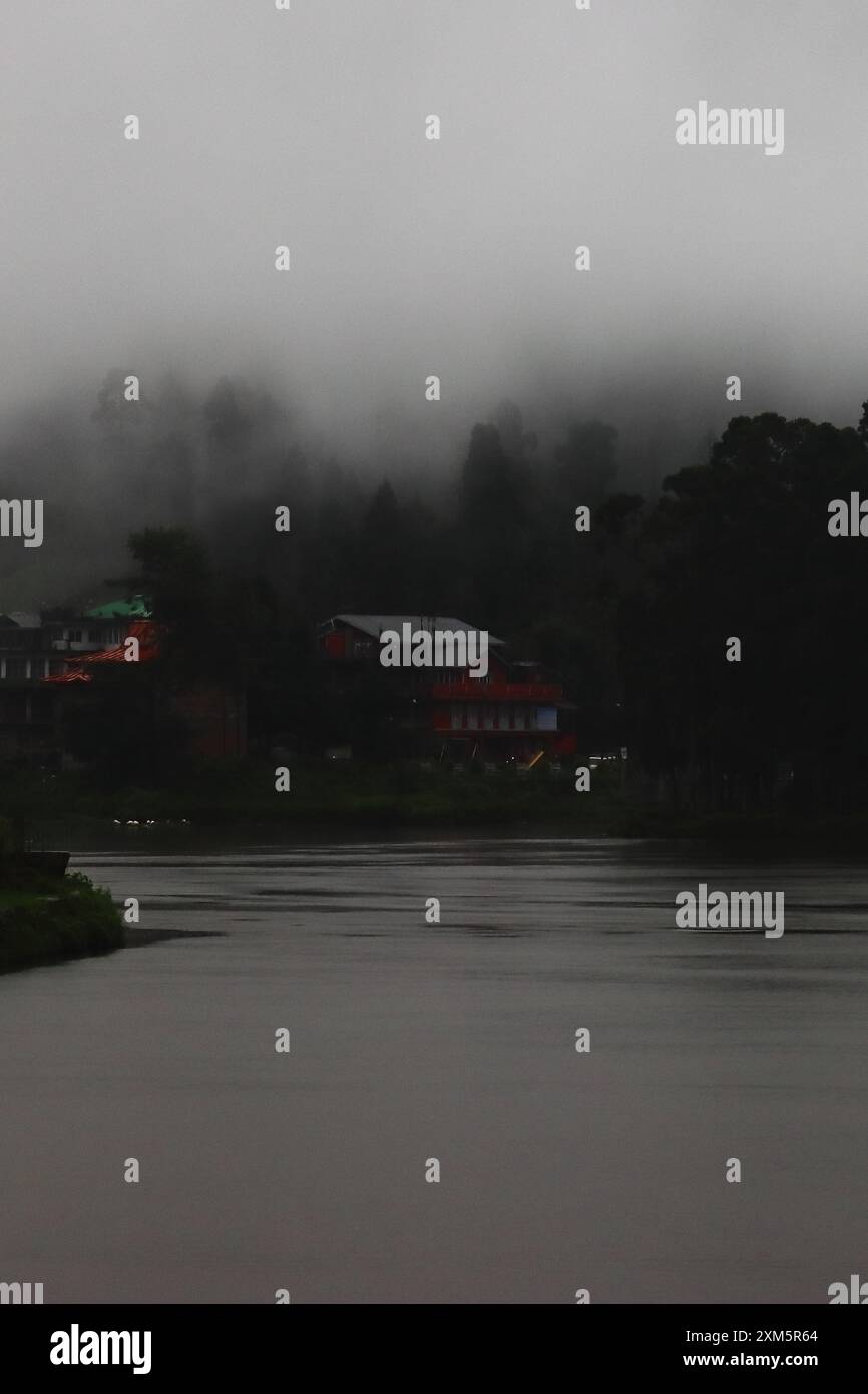 fog and mist covered dark pine forest and lake at mirik hill station in ...