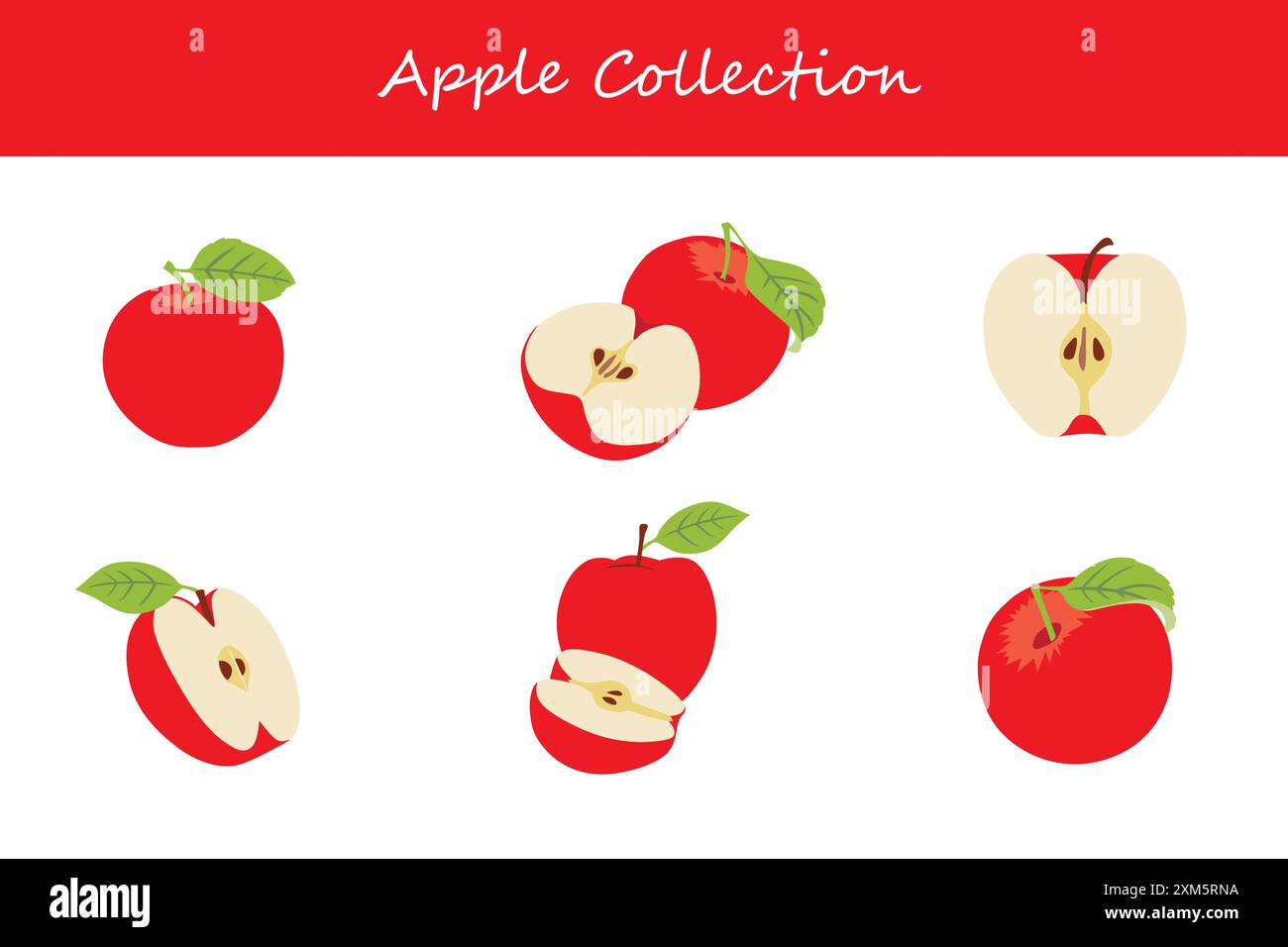 apple collection. apple in different poses. Vector illustration Stock ...