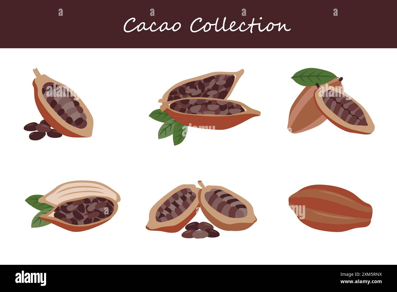 Cultivation cacao Stock Vector Images - Alamy