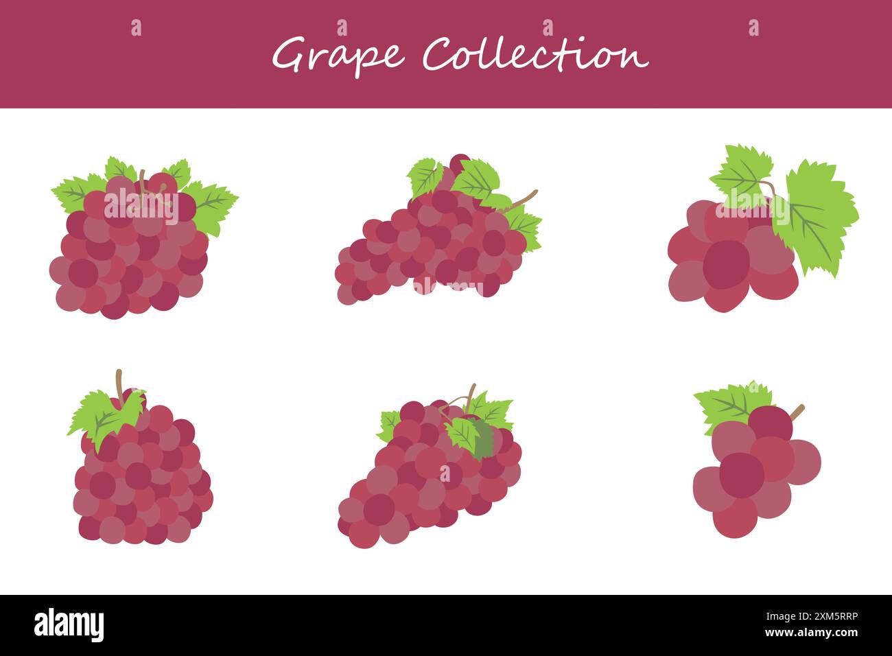 Grape fresh close up Stock Vector Images - Alamy