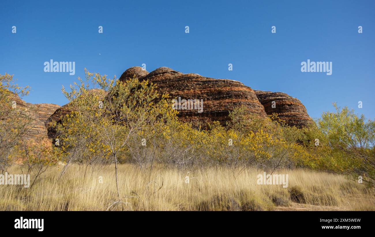 Beehive domes in the Bungle Bungle ranges (Purnululu) surrounded by ...