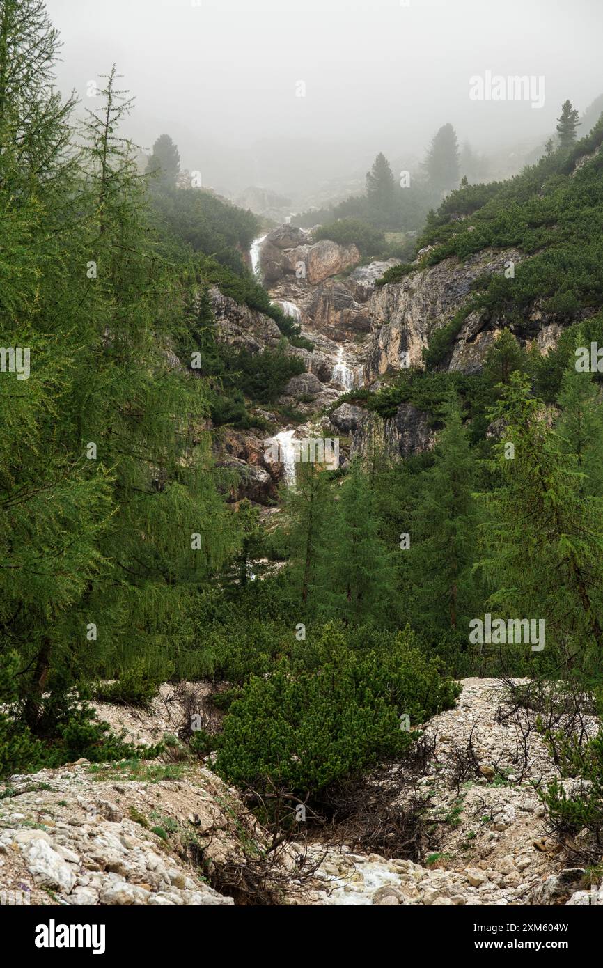 The pristine waterfall in the alpine forest creates a peaceful oasis ...