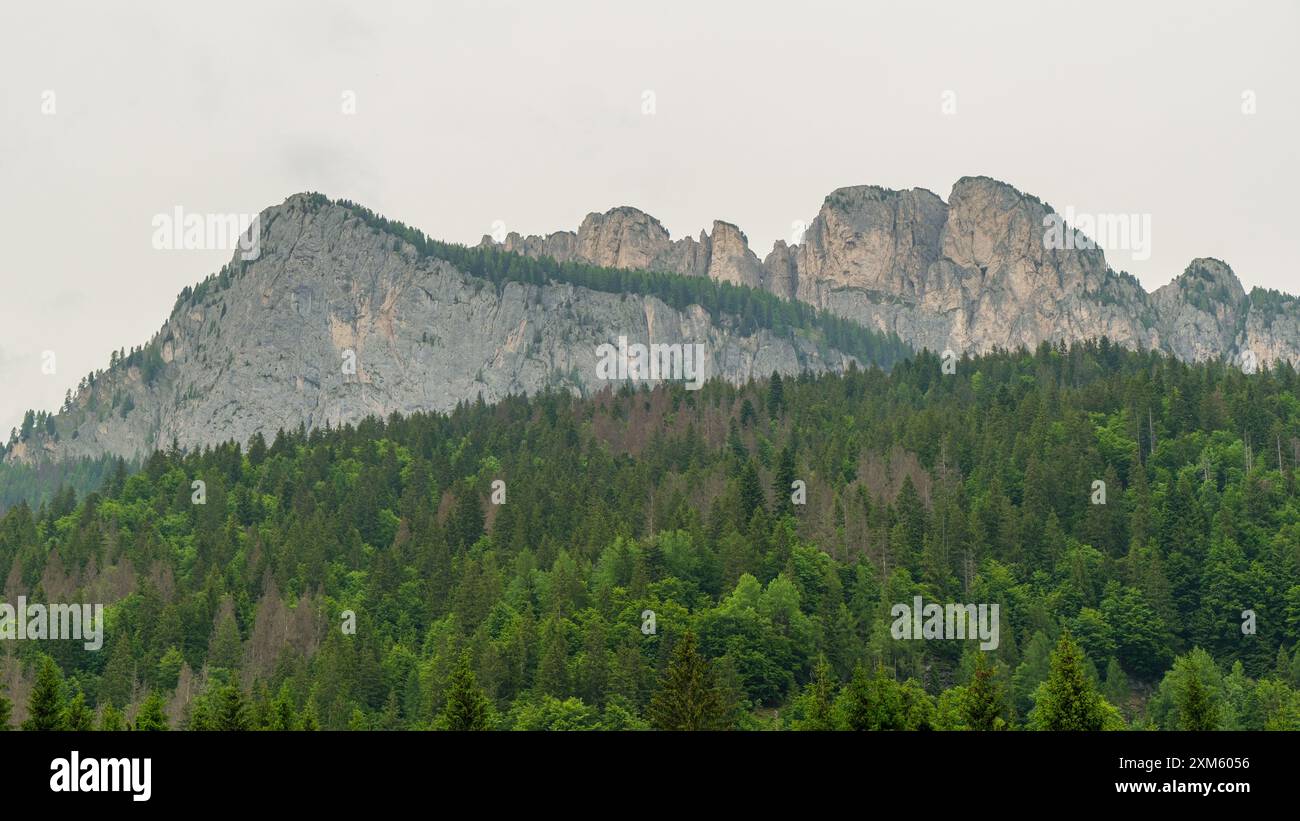 Embracing the beauty of Cimon del Froppa, where the timeless charm of ...