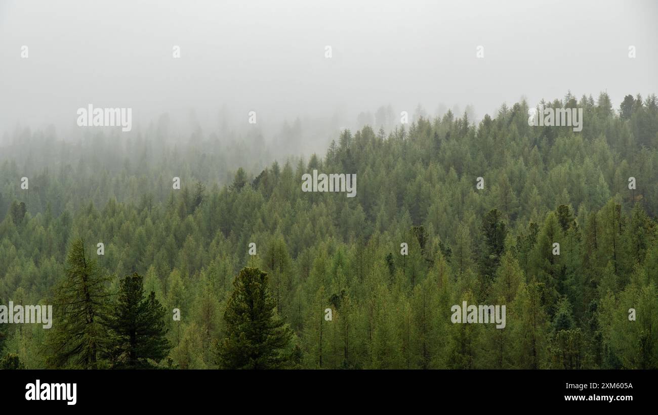Dreamlike haze hi-res stock photography and images - Alamy