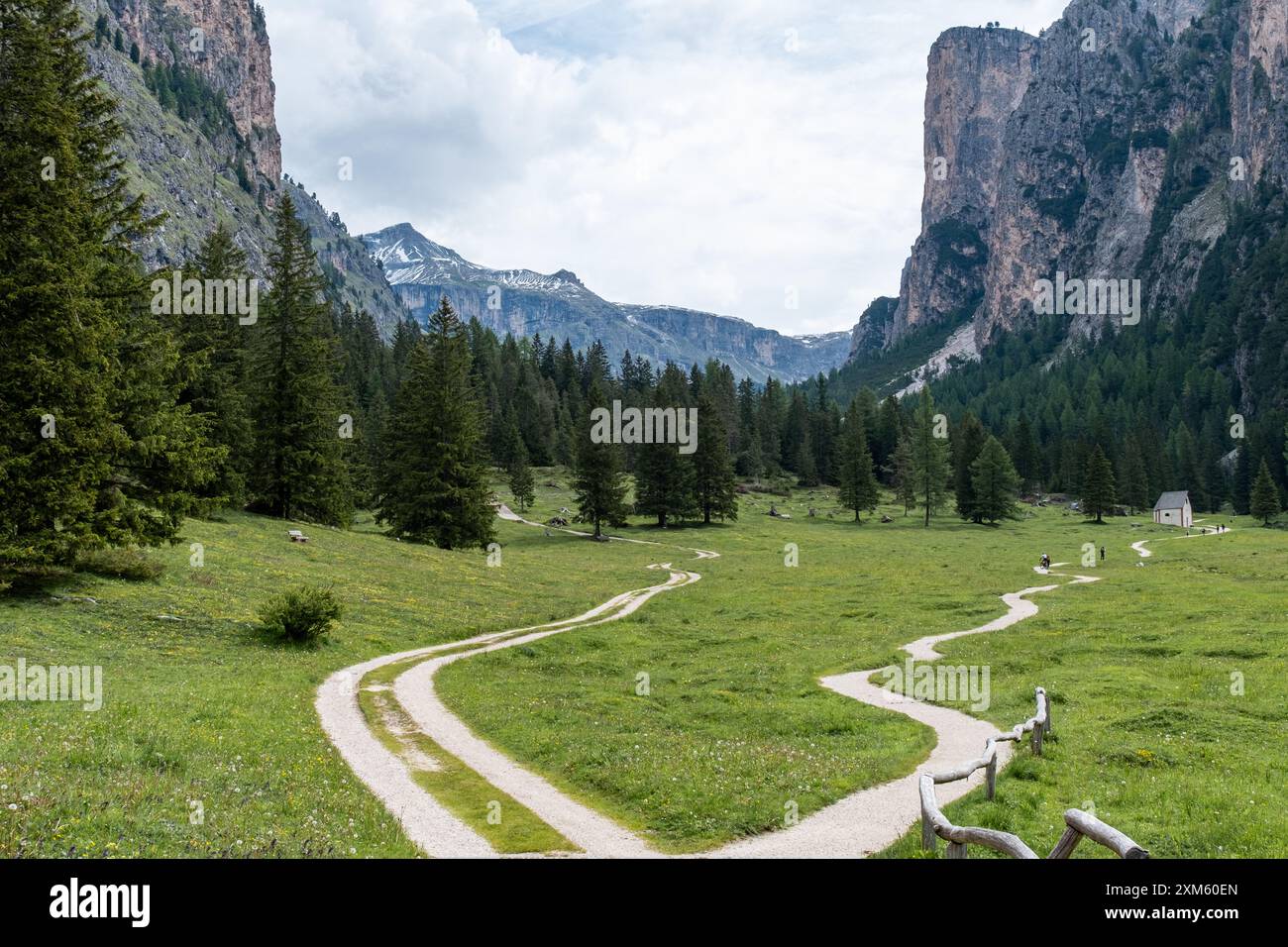 Discover the beauty of multiple paths winding through the nature park ...