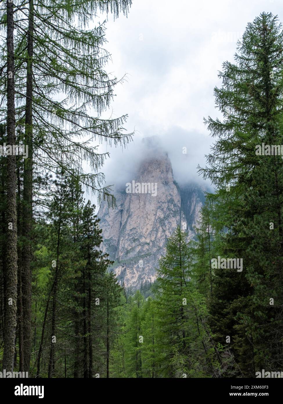 Unveil the ethereal beauty of Val Vallunga, where majestic mountains ...