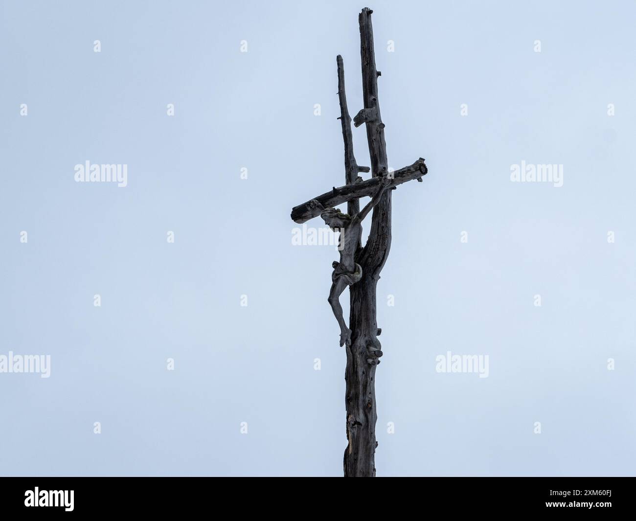 Standing resiliently amidst the rugged beauty of Val Vallunga, this old ...