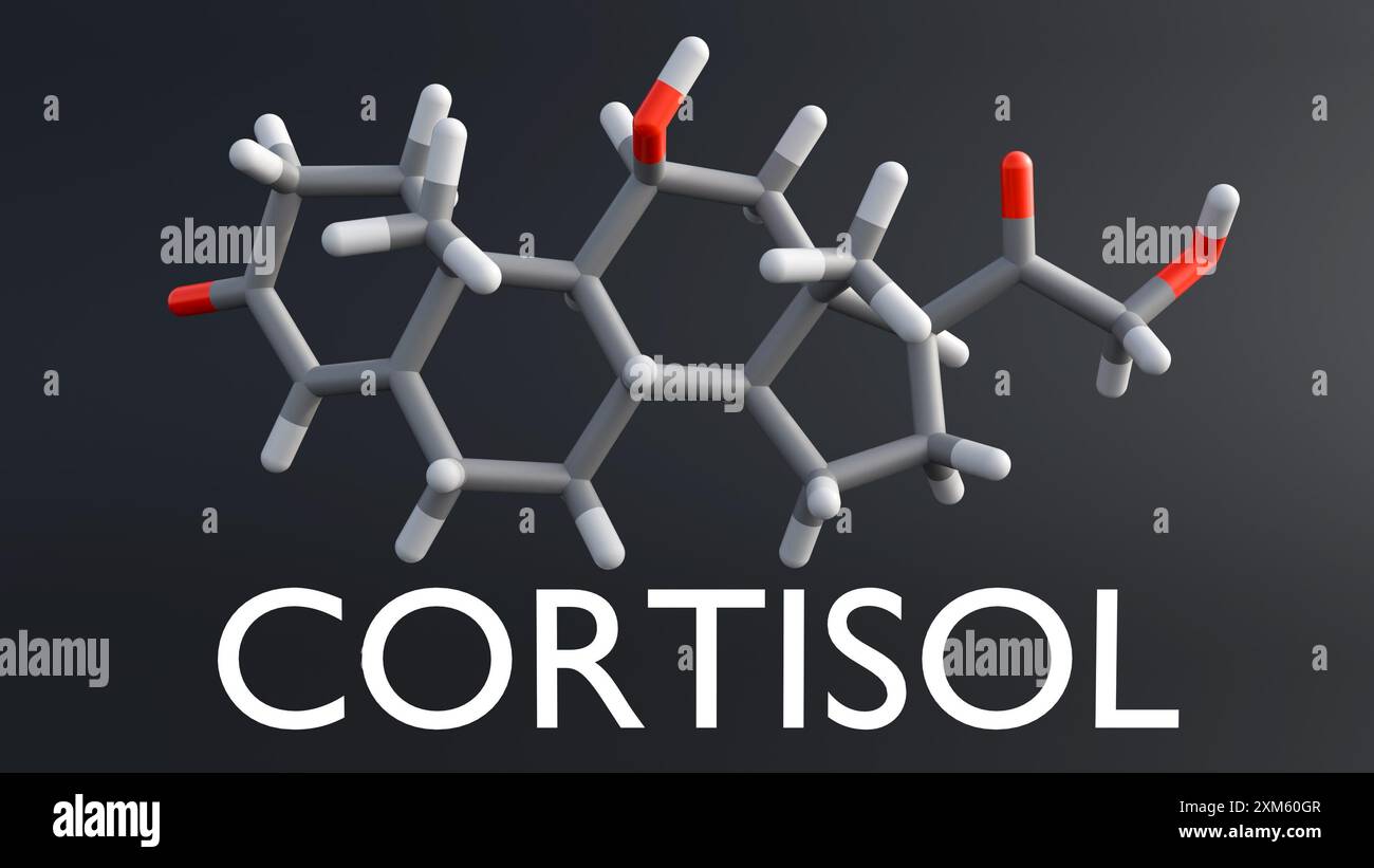 A 3D rendering of cortisol molecules, the primary stress hormone ...