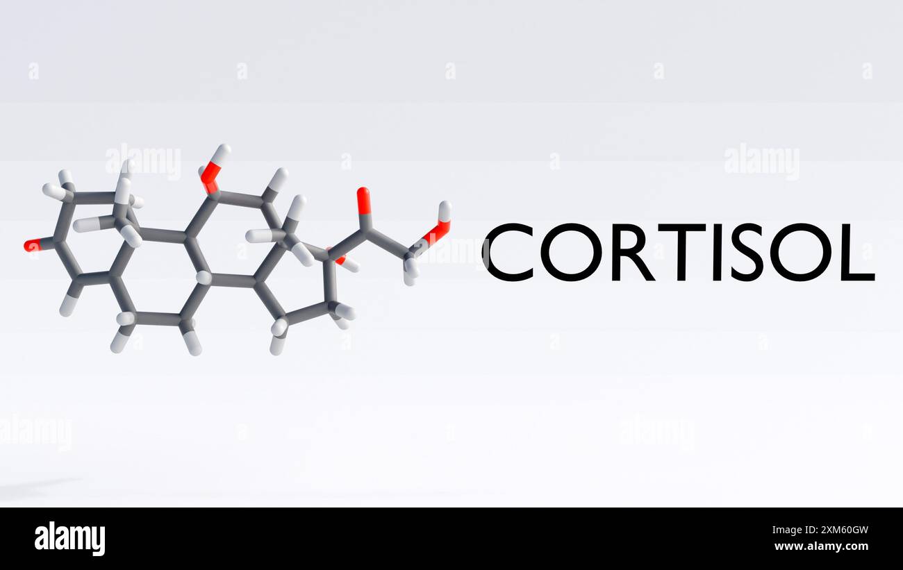 A 3D rendering of cortisol molecules, the primary stress hormone ...