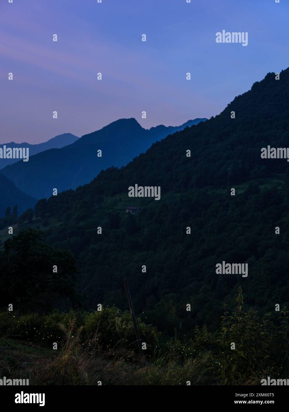 The Italian countryside comes alive with the mesmerizing glow of ...