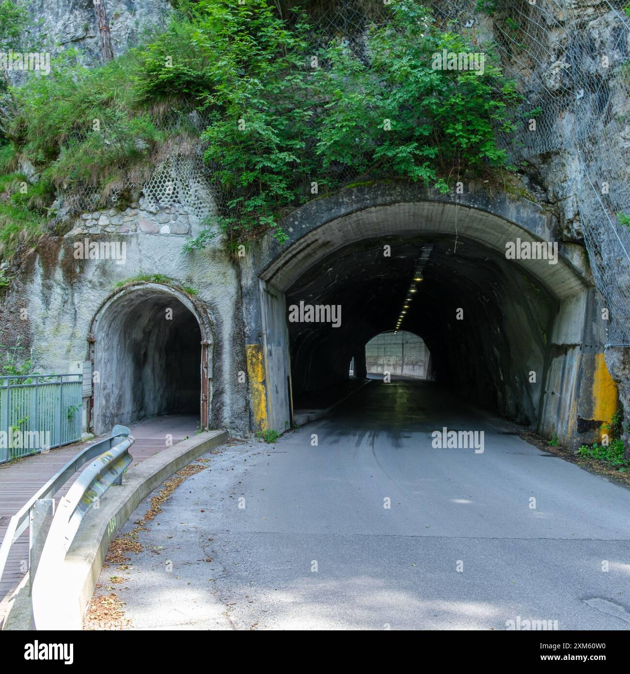 Discover the charm of Crone’s historic tunnel, a fascinating passage ...