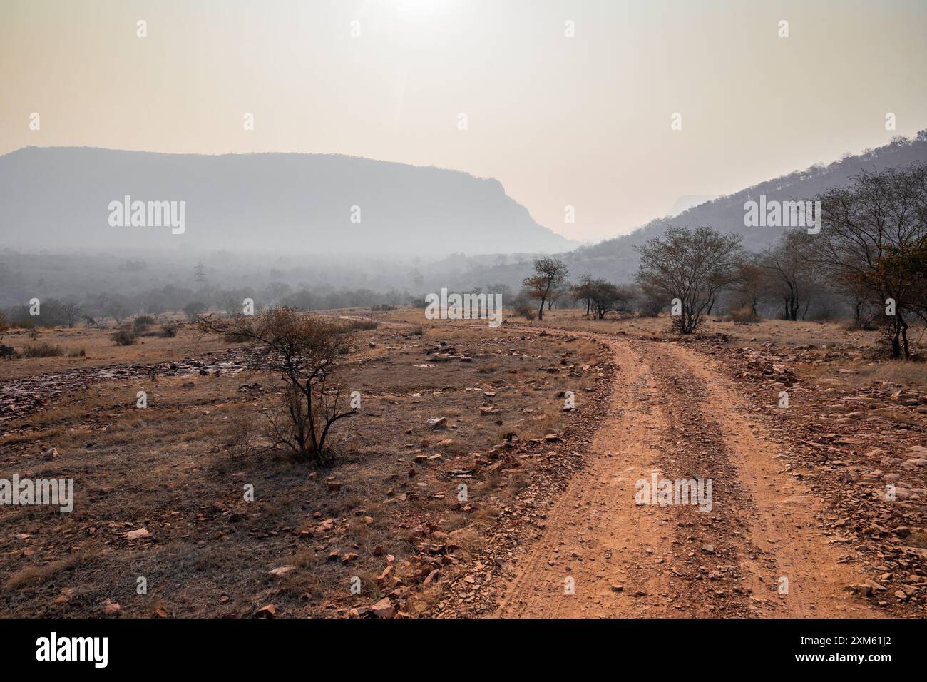 Ranthambhore National Park landscape at sunrise (Rajasthan, India Stock ...