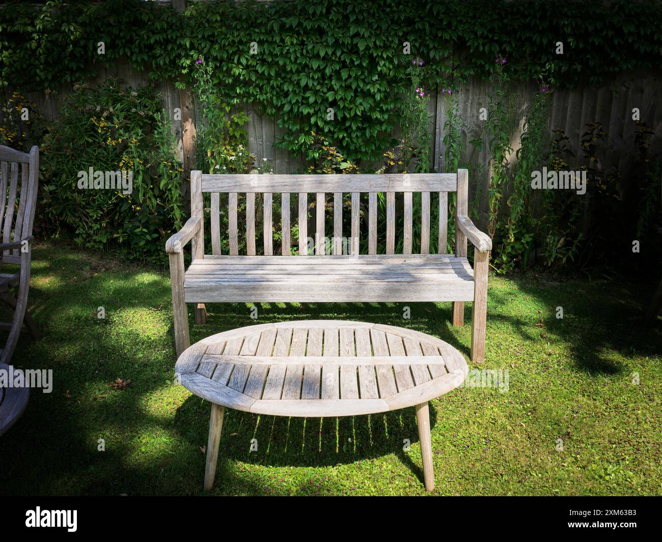 An iroko wooden bench and small table in an english back garden on a ...