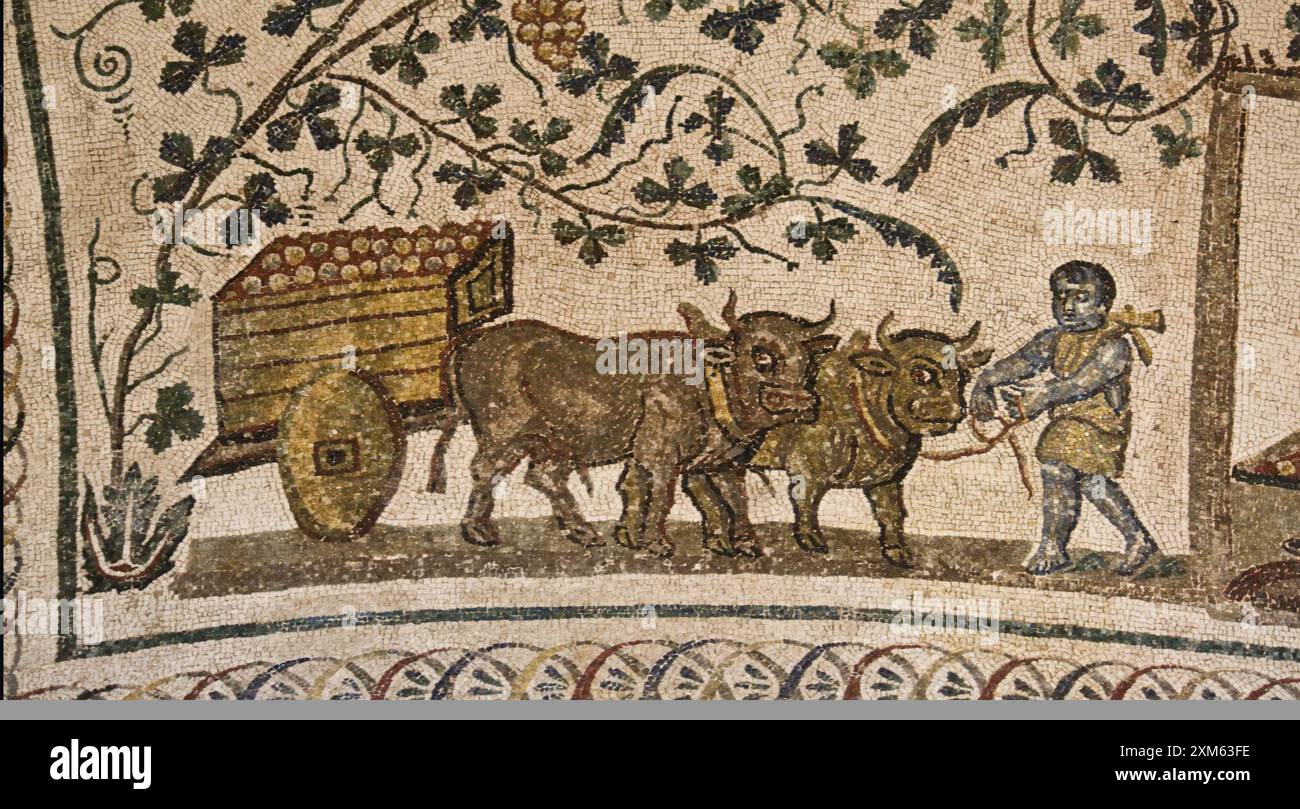 Oxen pulling a cart hi-res stock photography and images - Alamy