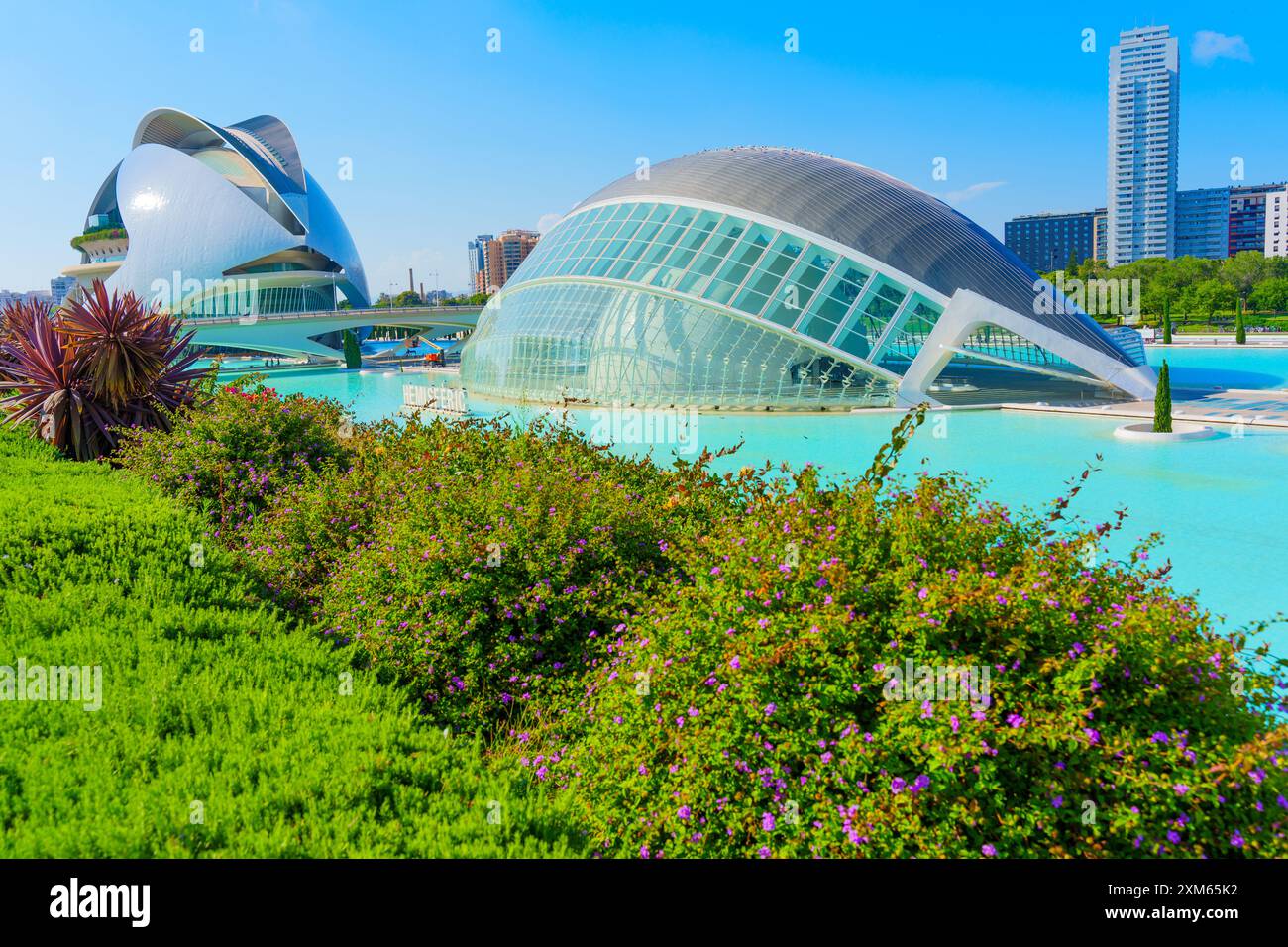 Serene pool hi-res stock photography and images - Alamy