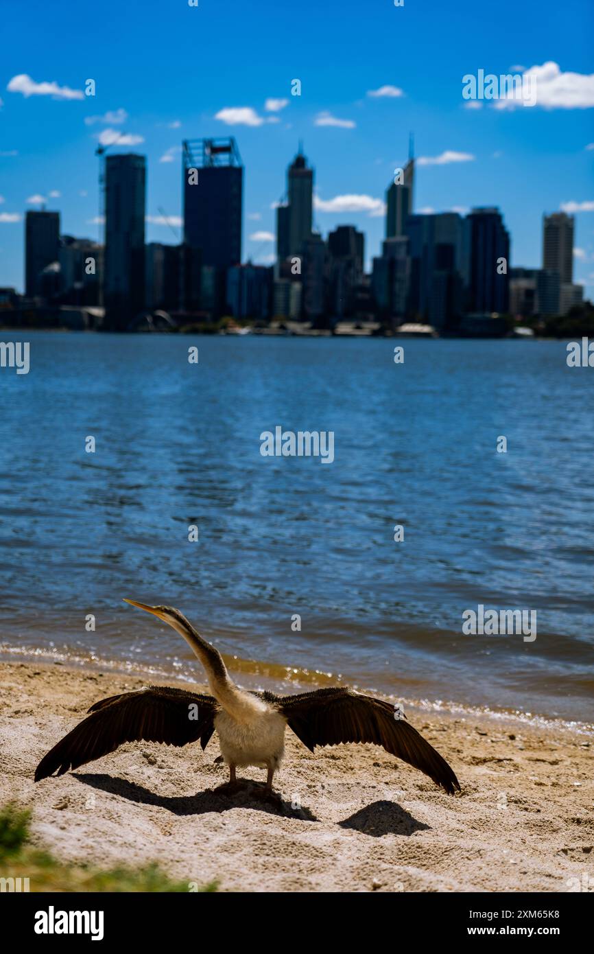Perth city skyline silhouette hi-res stock photography and images - Alamy