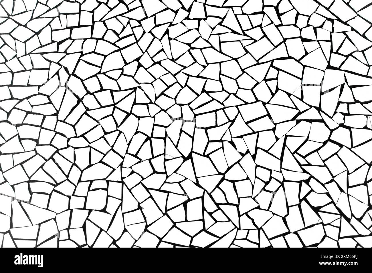 Monochrome mosaic design featuring varied tile shapes in white. Great ...