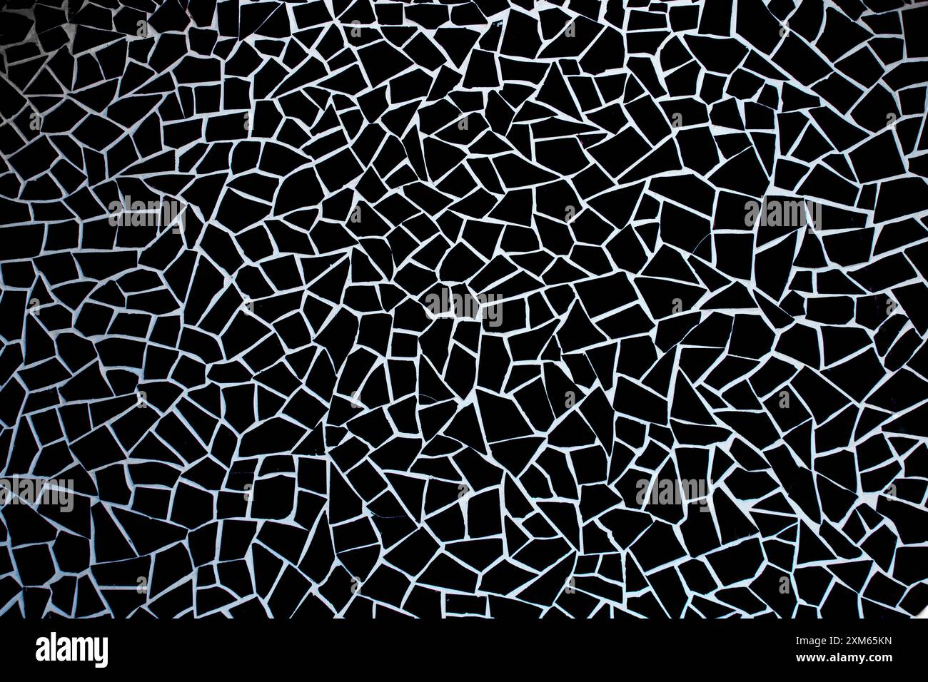 Stunning black and white mosaic tile work featuring angular shapes ...