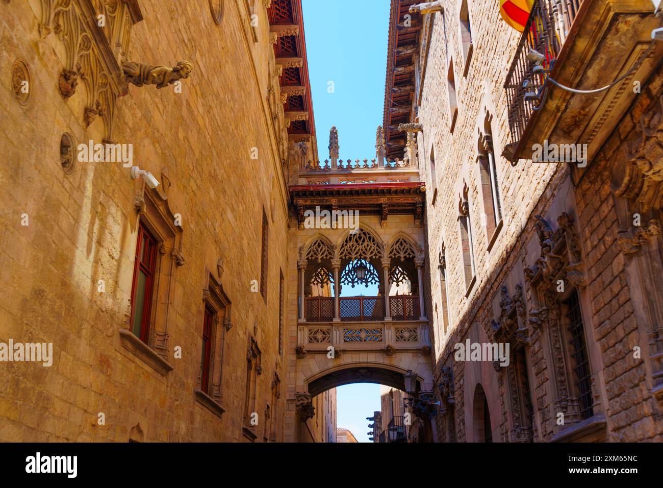 Gothic architecture with an intricately designed bridge in historic ...