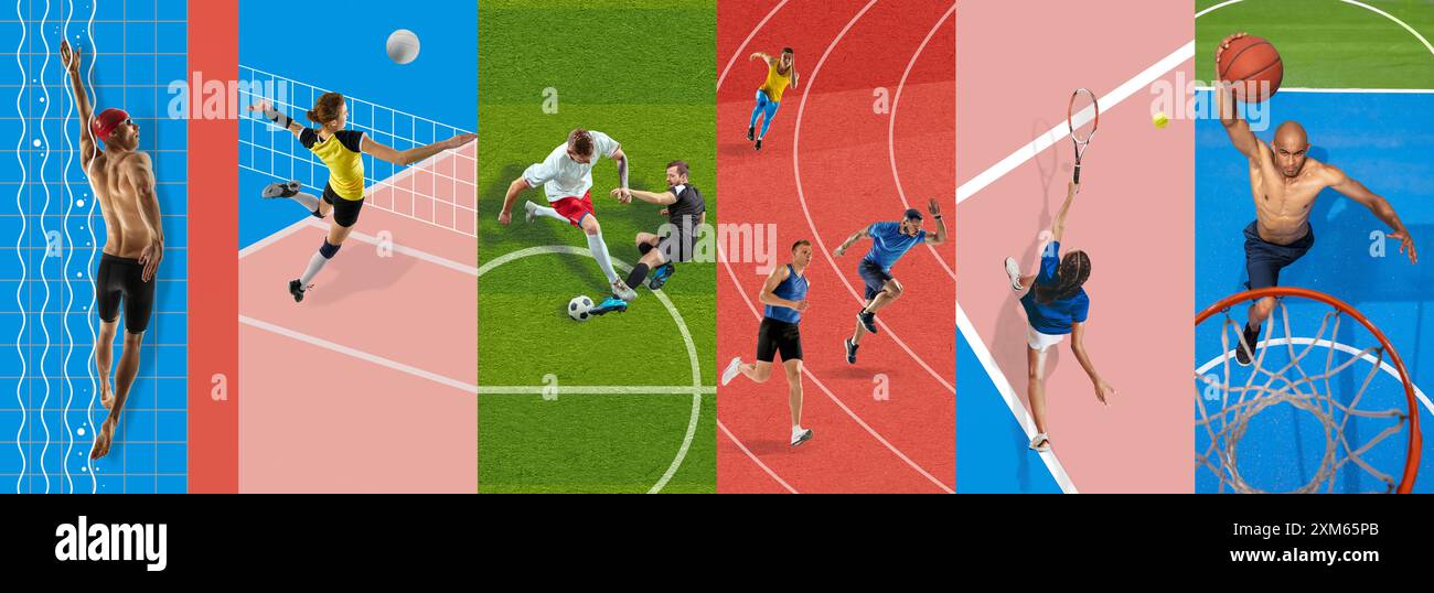 Collage made of different athletes, men and women of various sports in ...