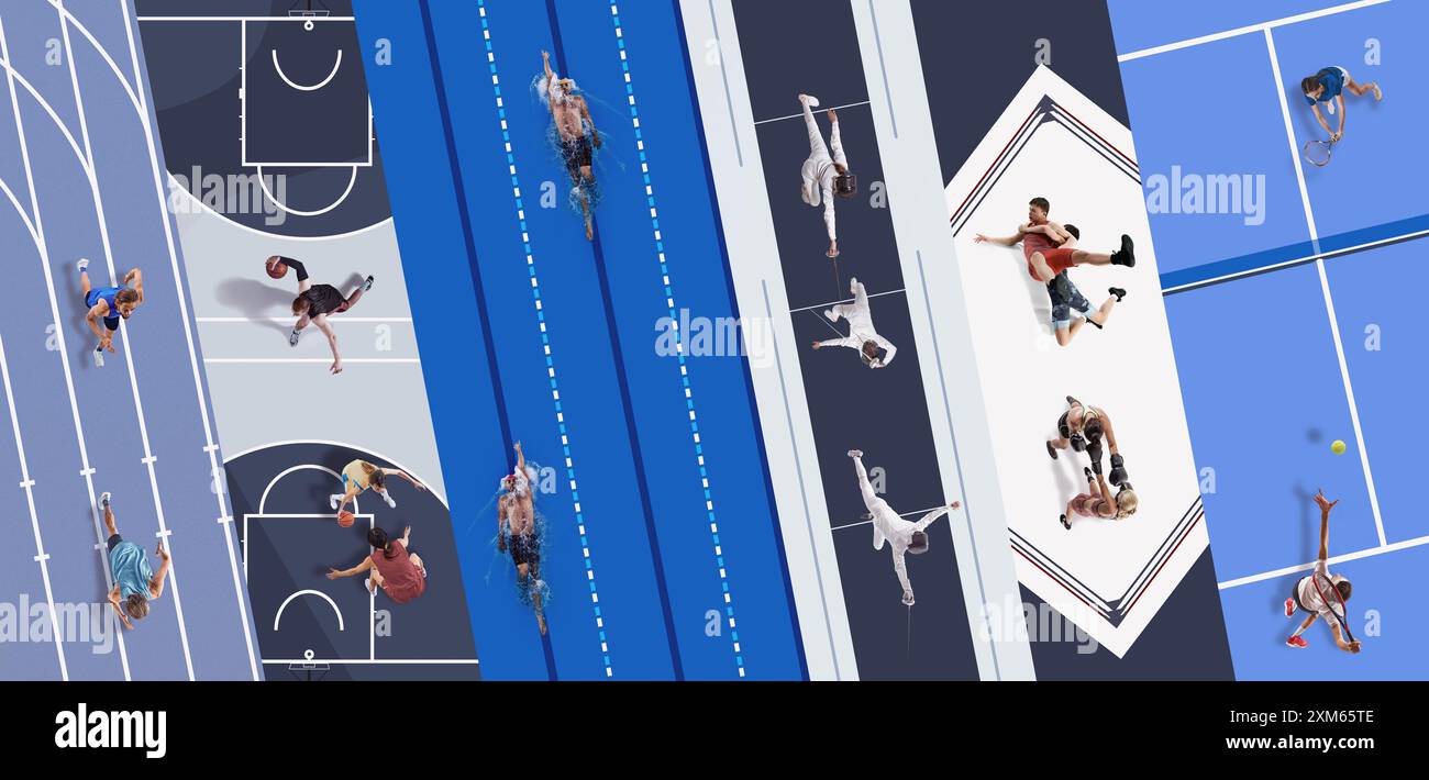 Collage made of different competitive athletes, men and women ...