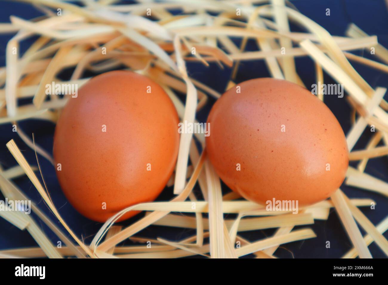 Close up shot raw egg hi-res stock photography and images - Alamy