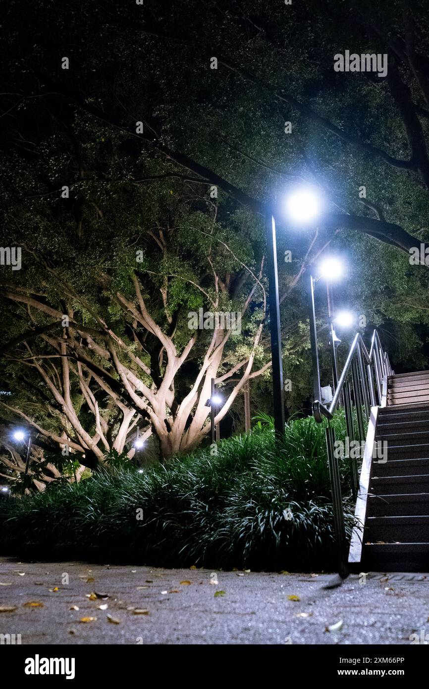 Outdoor staircase with greenery hi-res stock photography and images - Alamy