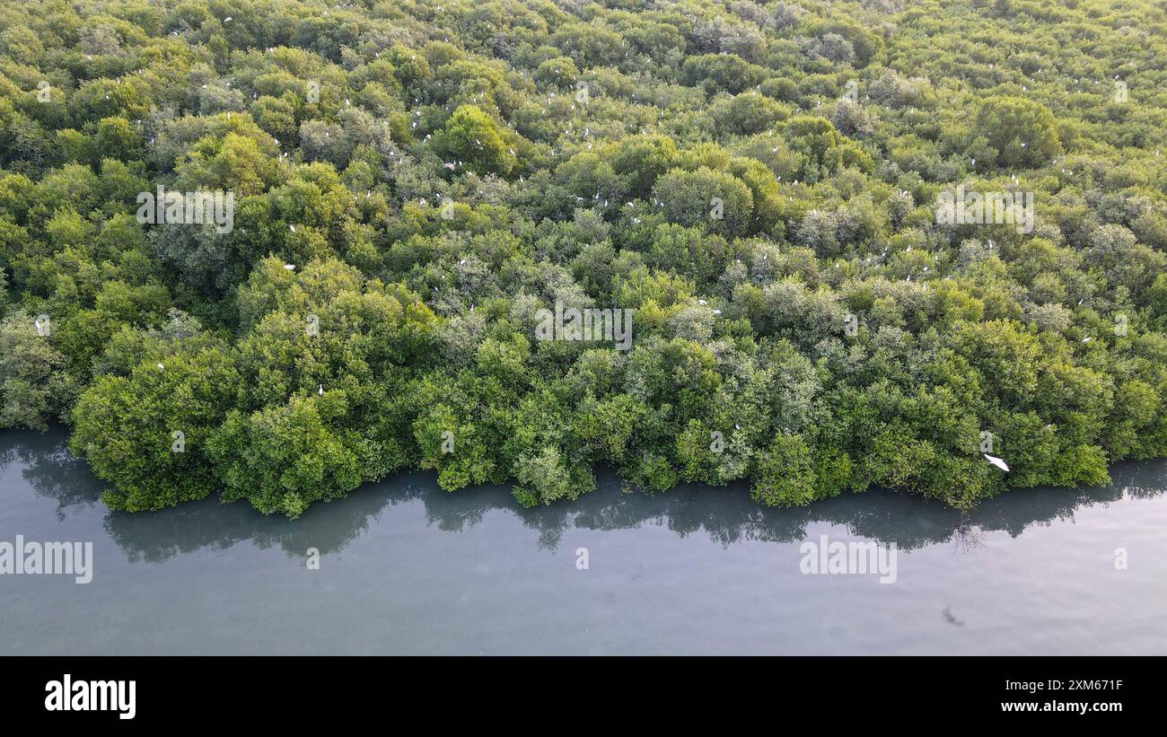 (240726) -- SERANG, July 26, 2024 (Xinhua) -- An aerial drone photo ...
