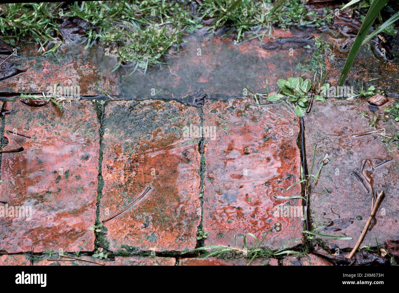 Recycled bricks hi-res stock photography and images - Alamy