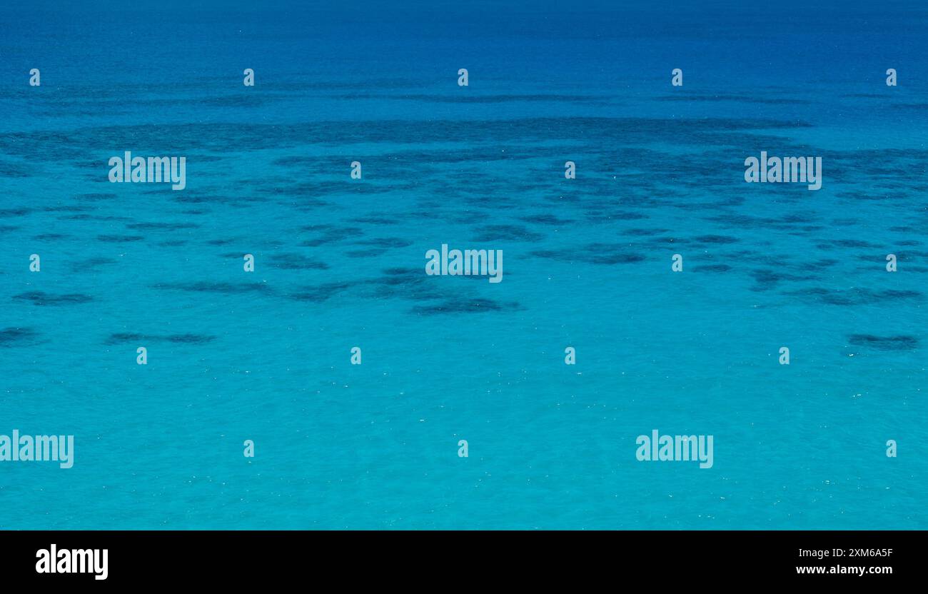 Below surface view ocean coral hi-res stock photography and images - Alamy