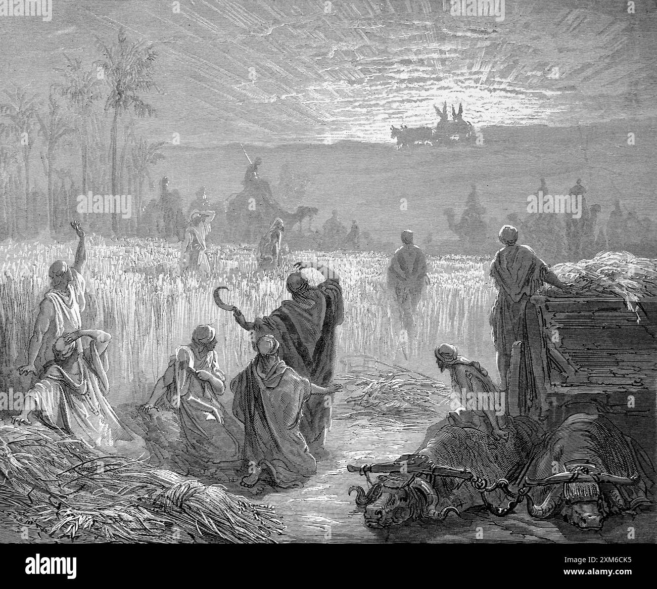 Wood Engraving of the Return of the Ark to Beth-Shemesh by Gustave Dore ...
