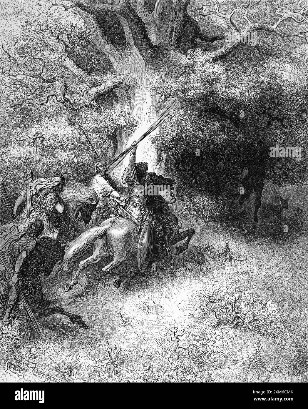 Second tree Black and White Stock Photos & Images - Alamy